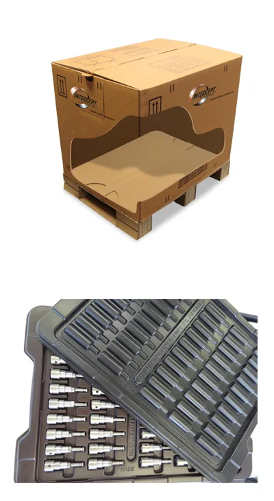 Newsletter 25 Philippines